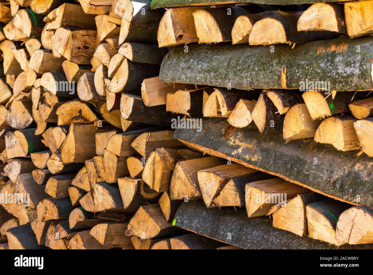 Trunks cut to size Stock Photo - Alamy