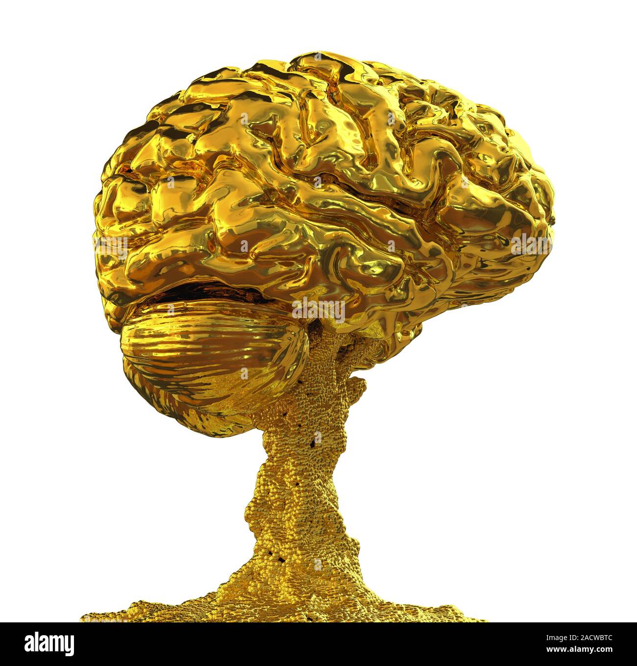 This image may not be used in educational posters Brain made of gold ...