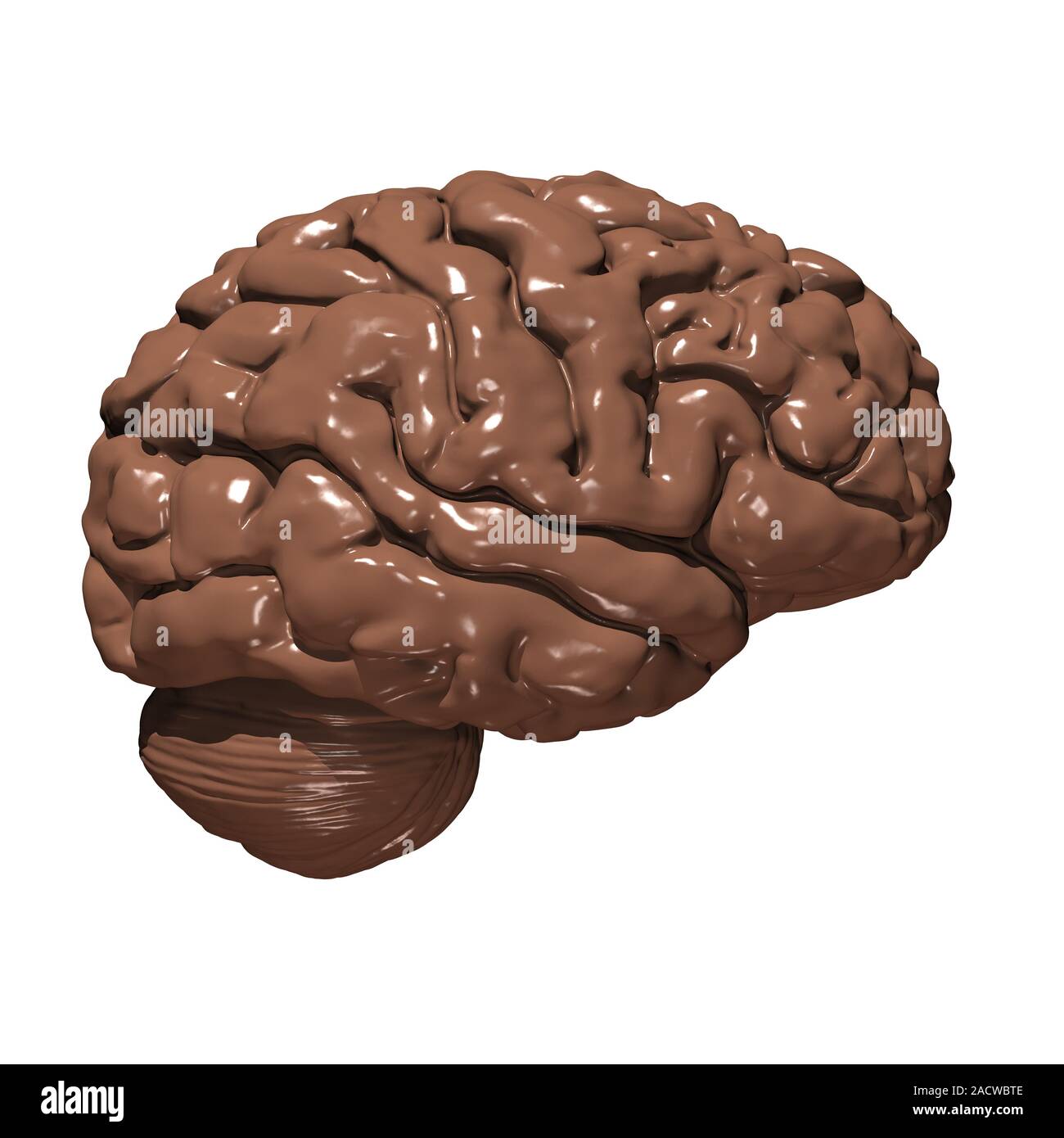 This image may not be used in educational posters Brain made of ...