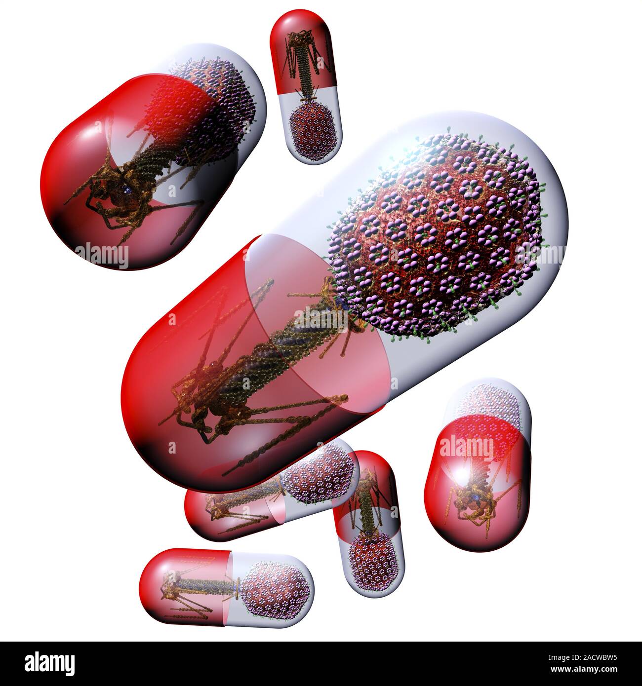 This image may not be used in educational posters Phage therapy ...