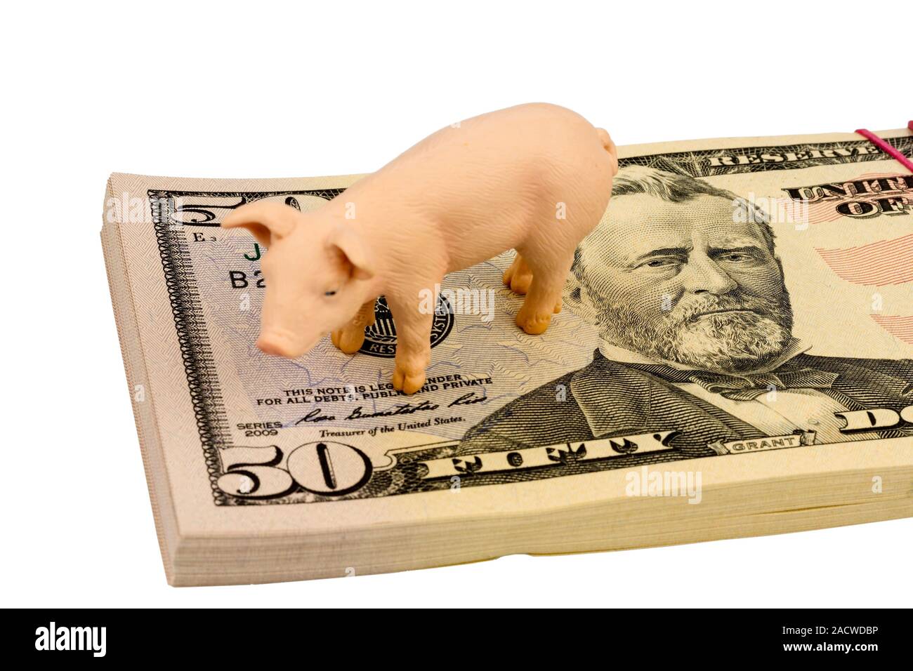 Pig on dollar banknotes Stock Photo - Alamy