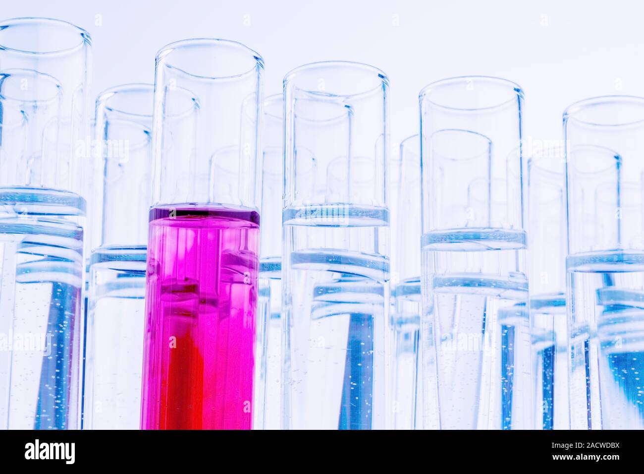 Laboratory glassware for testing in chemistry laboratory Stock Photo ...