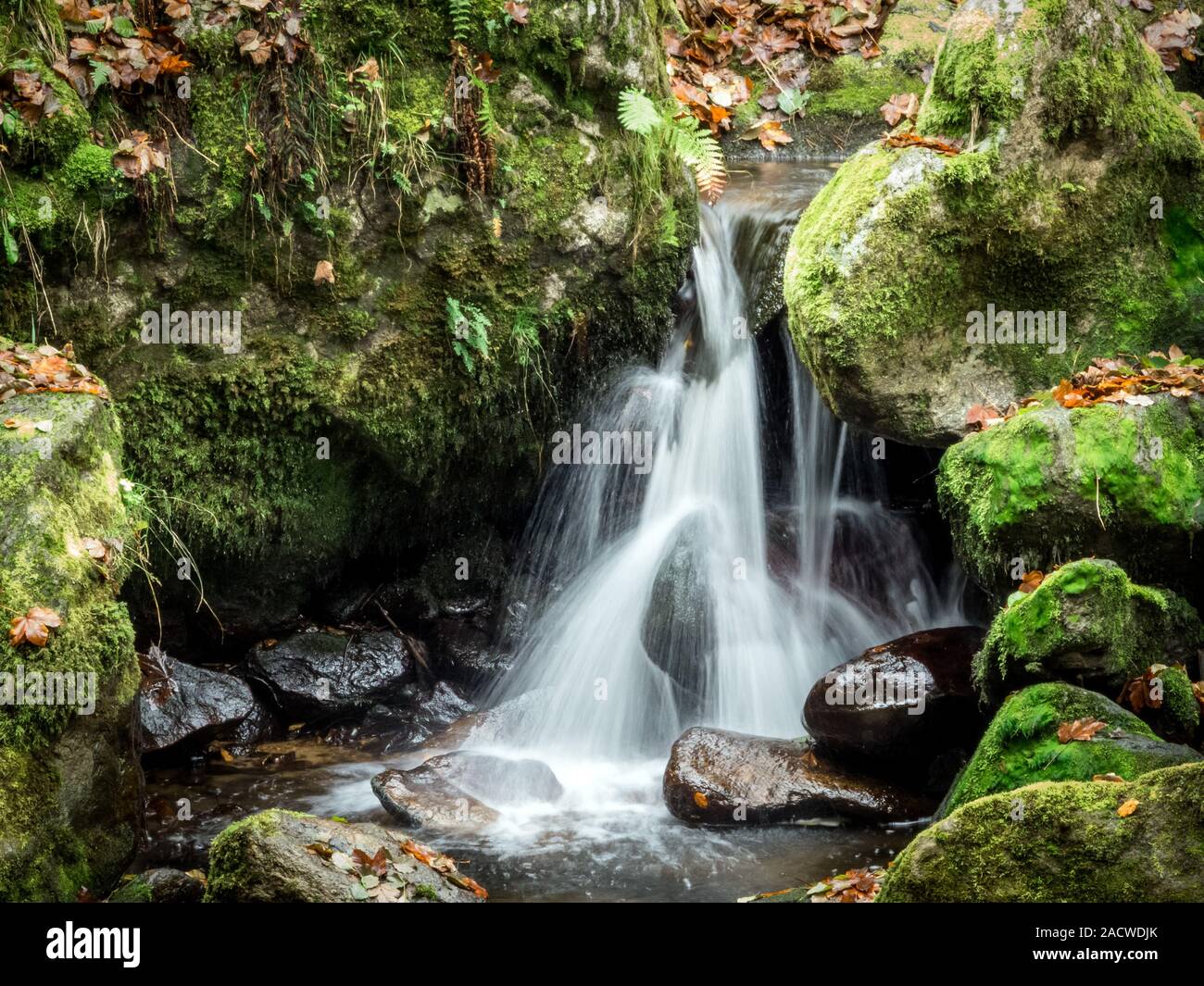 Stream with running water Stock Photo - Alamy