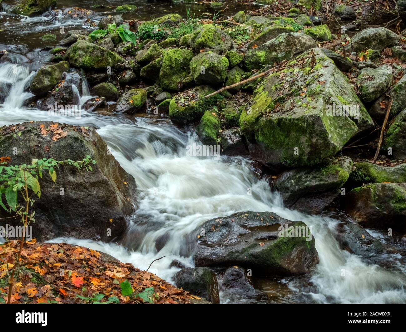 Stream with running water Stock Photo - Alamy