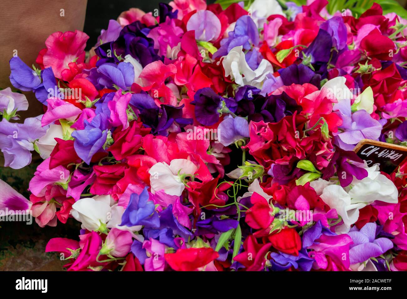 Flowers on offer Stock Photo - Alamy