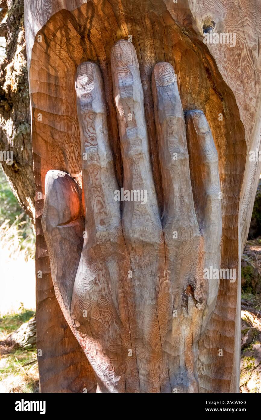 Carved tree trunk hi-res stock photography and images - Alamy