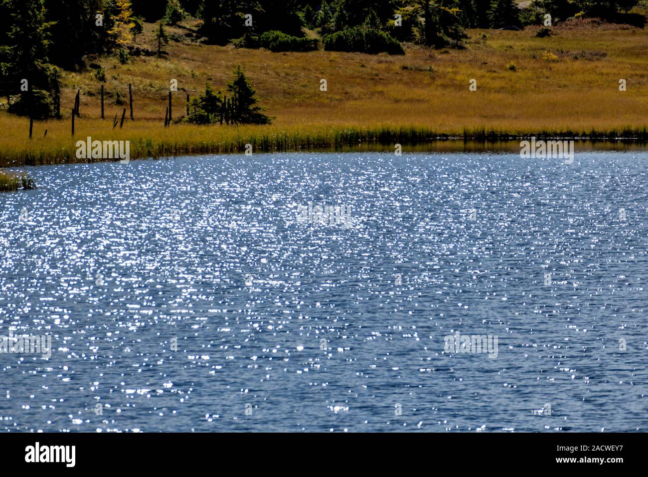 Shore surface hi-res stock photography and images - Alamy