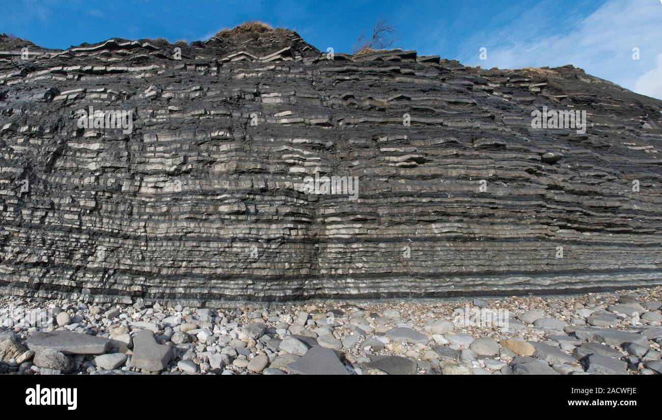 Horizontally bedded strata of Blue Lias at Monmouth Beach, Lyme Regis ...