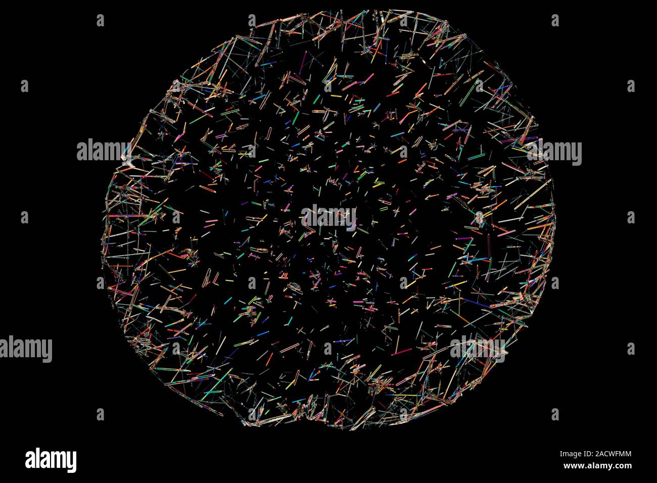 Amoxicillin crystals. Polarized light micrograph of acicular crystals ...