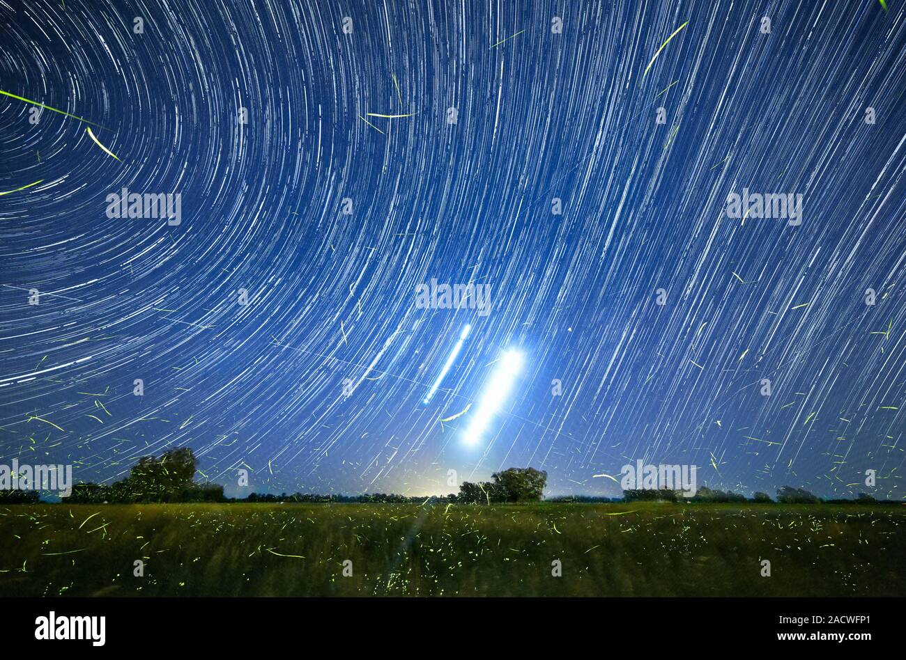 Polar star trails and fireflies. Time-exposure image of star trails ...