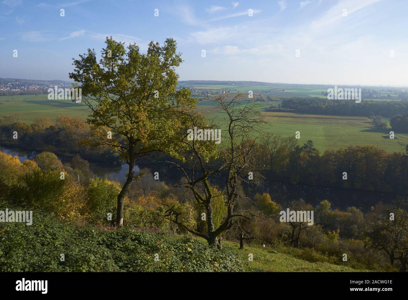 Schloss mainberg hi-res stock photography and images - Alamy