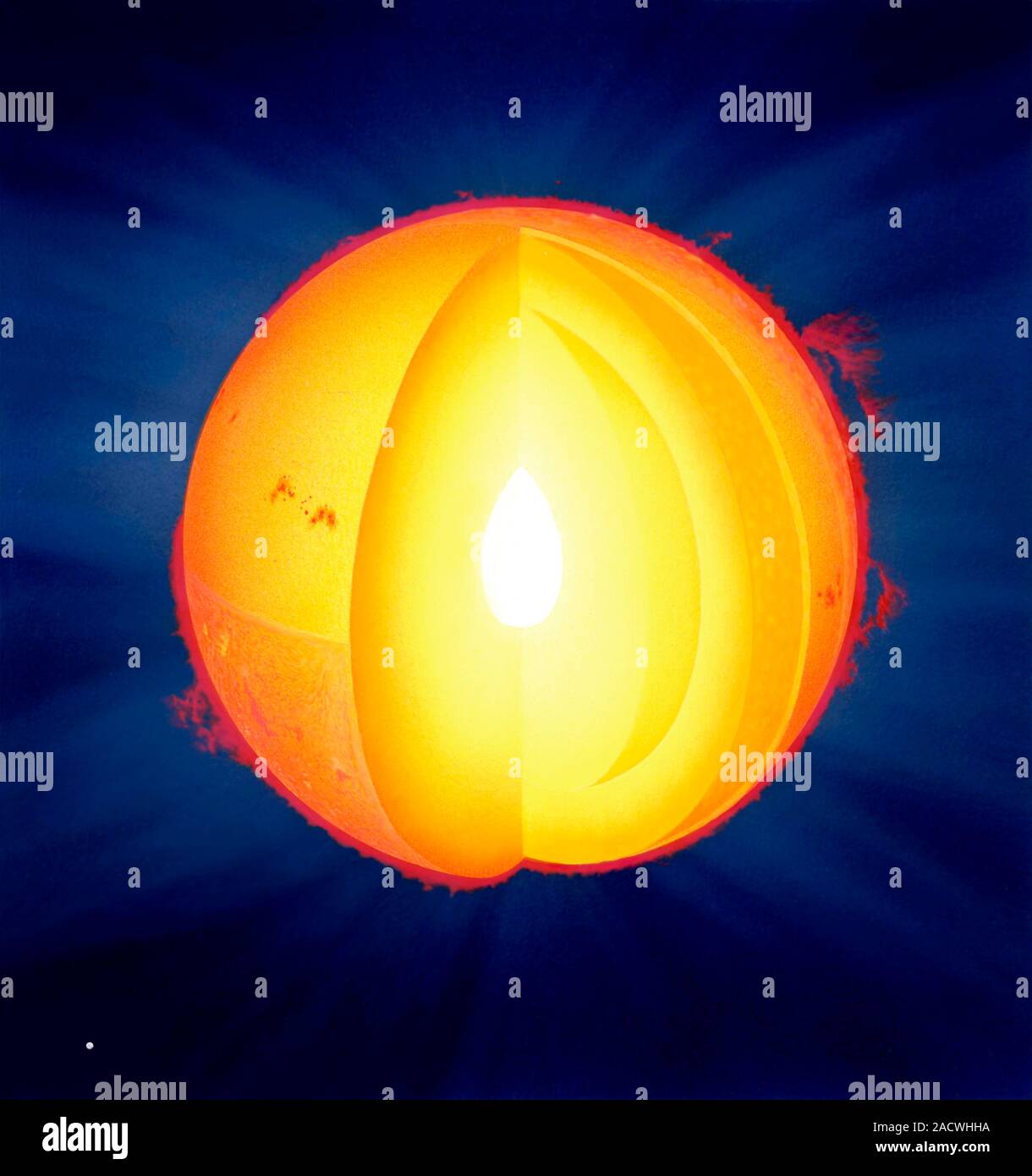Internal structure of the Sun, cutaway artwork. At the Sun's core ...