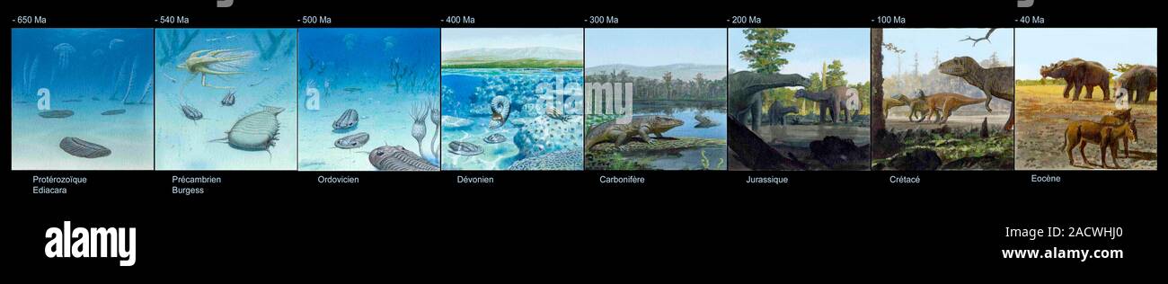 Evolution of life on Earth. Sequence of artworks showing the timeline ...