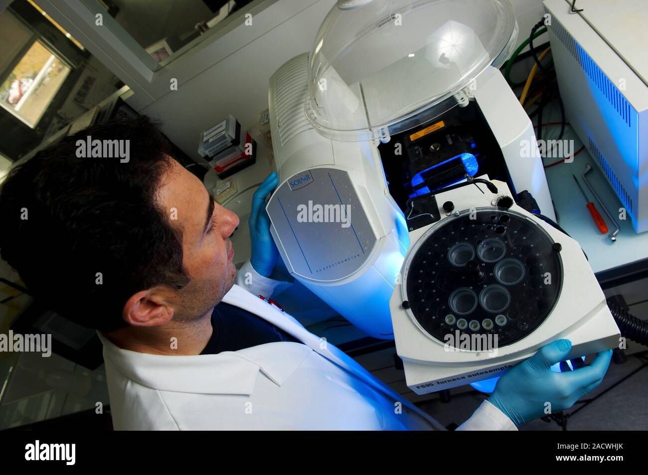 Mushrooms analysis. Food scientist using a spectrometer to test ...