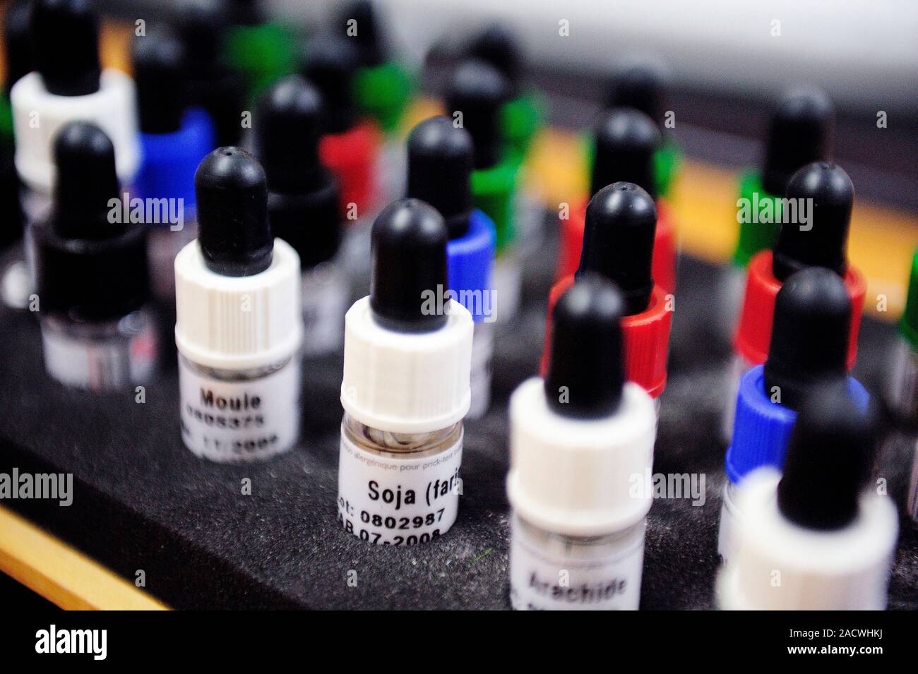 Skin test allergens. This range of potential allergens is used in ...