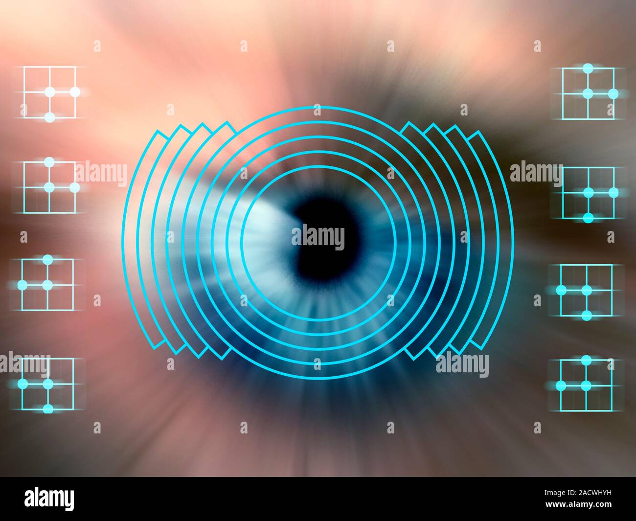 Biometric eye scan. Computer artwork of a human eye being scanned ...