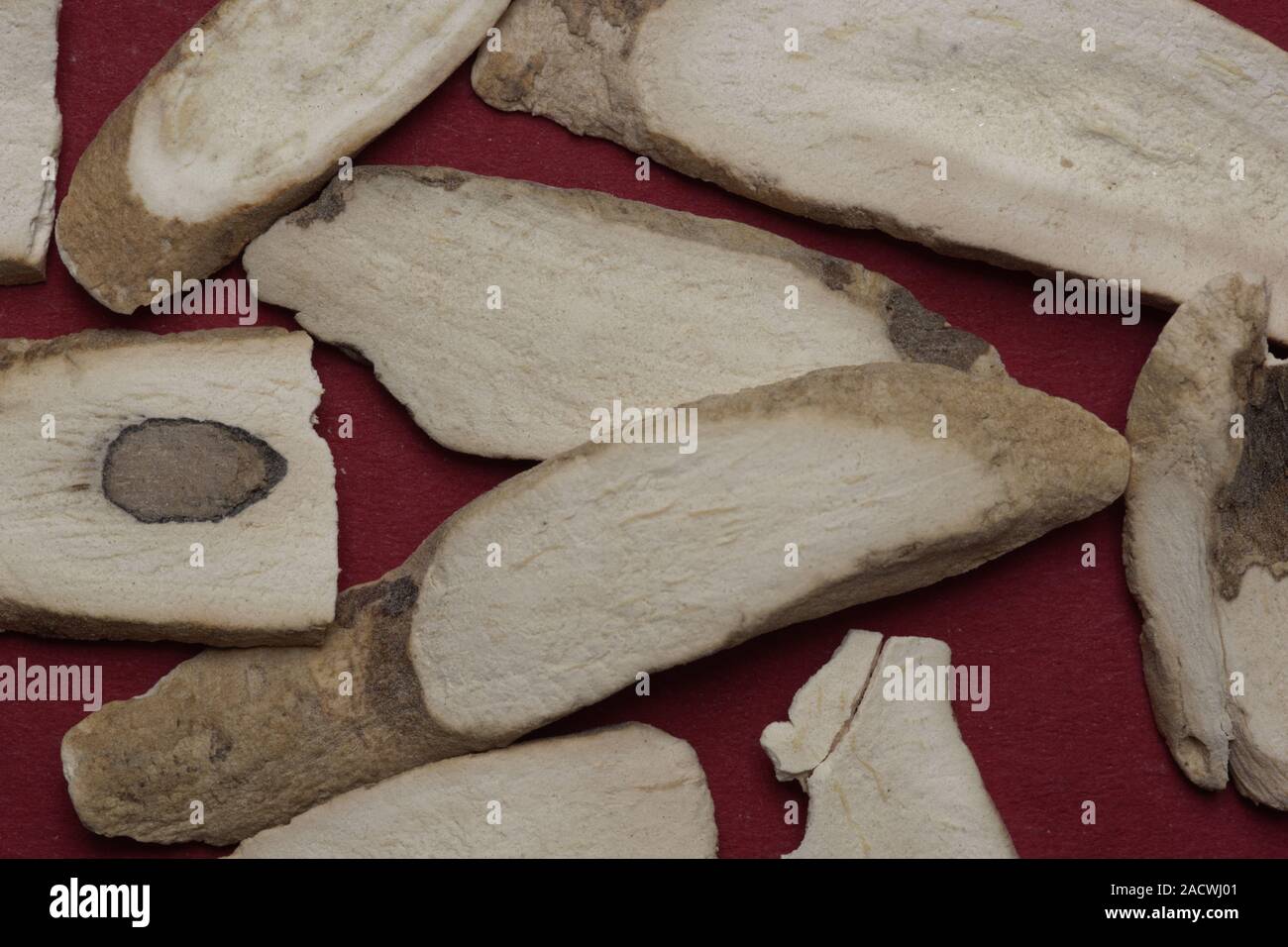 White Peony Root High Resolution Stock Photography and Images - Alamy