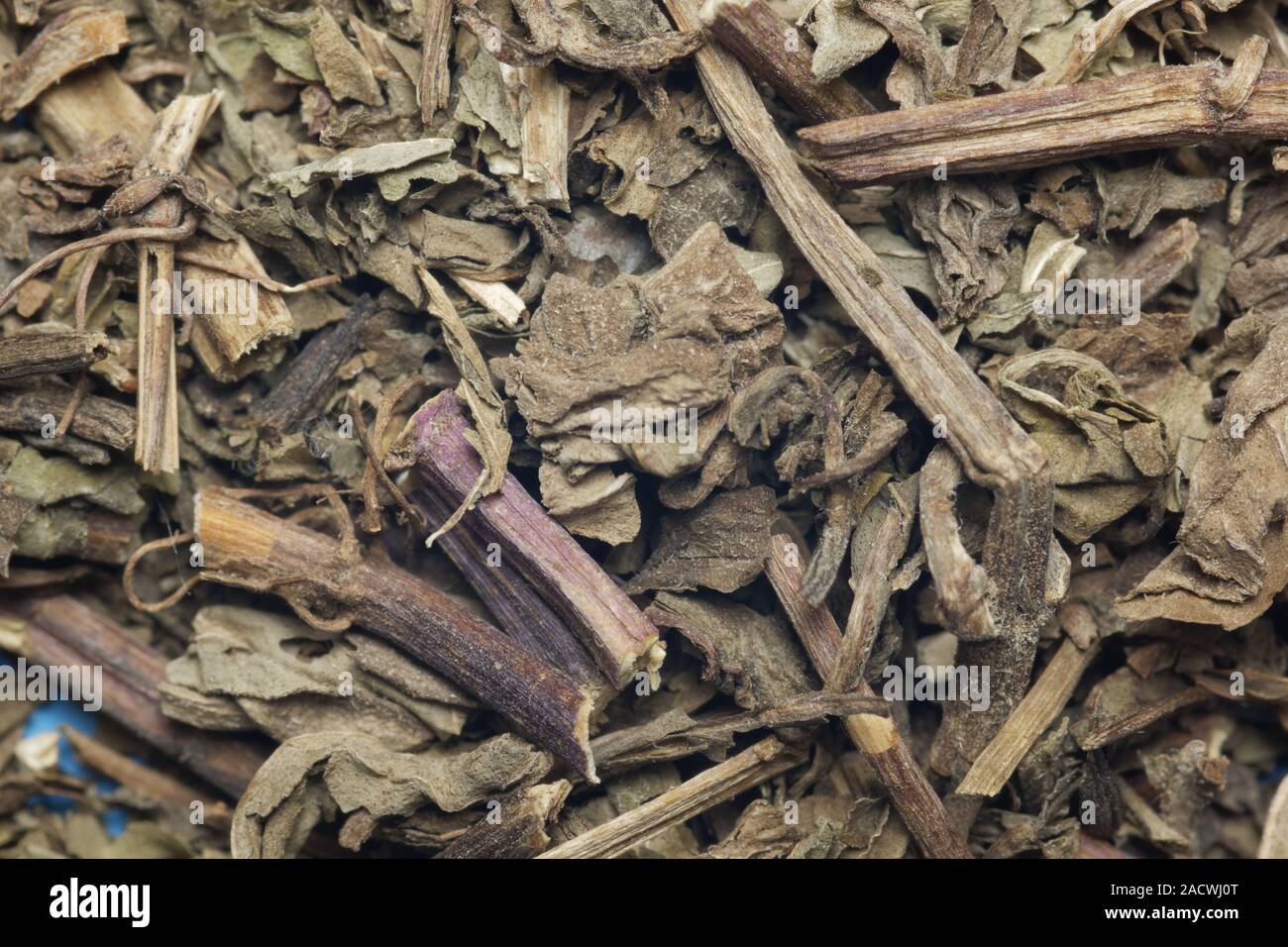 Chinese mint hi-res stock photography and images - Alamy