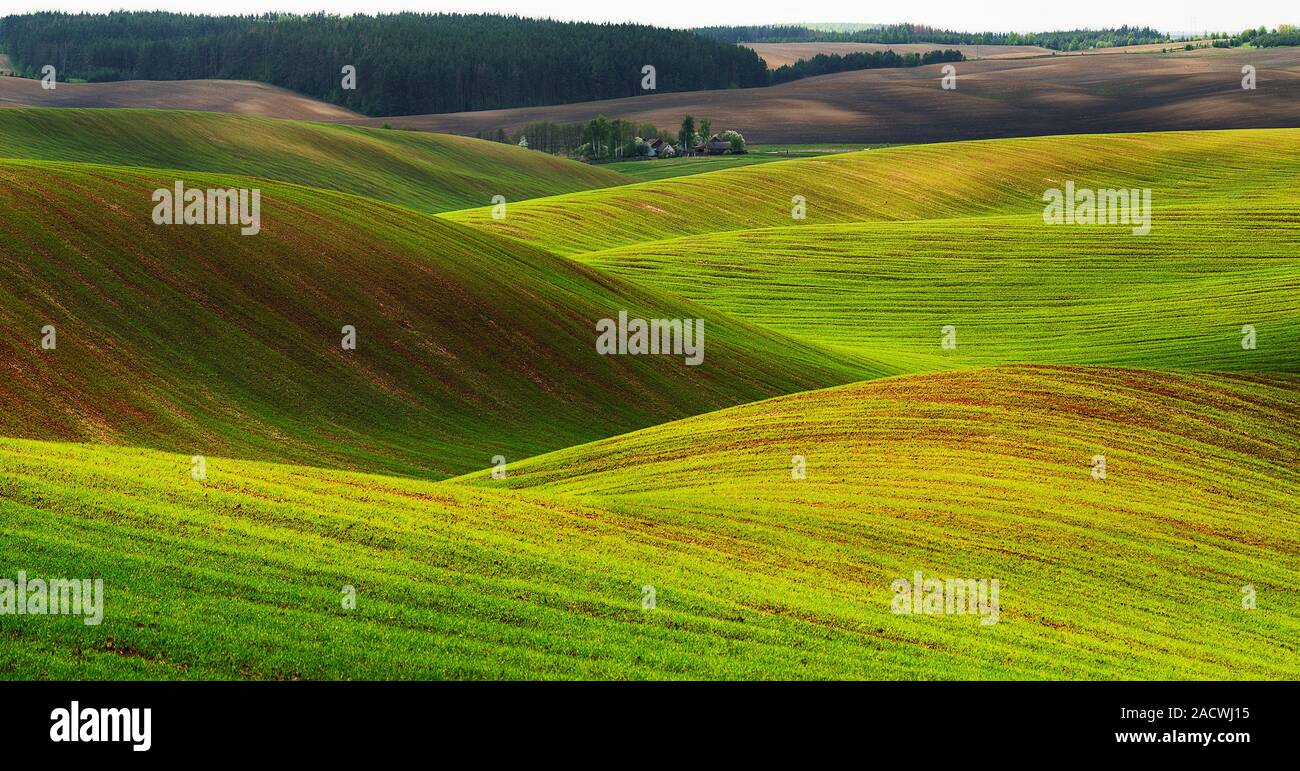Green landscape cornfield hills hi-res stock photography and images - Alamy
