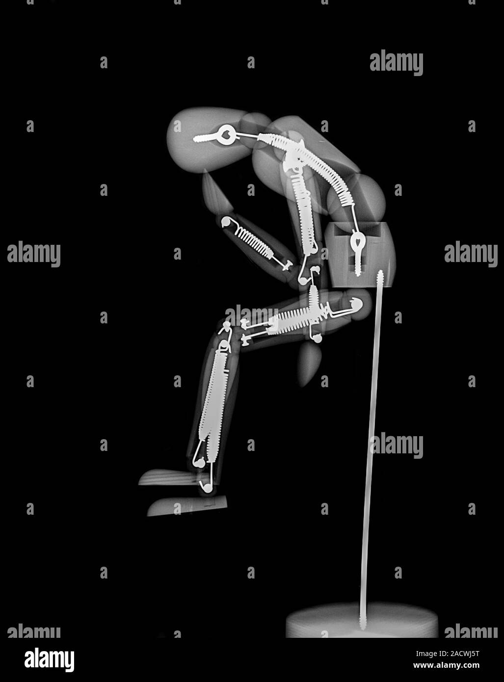 The Thinker (or thinking man - Homo sapiens) mannequin under x-ray ...