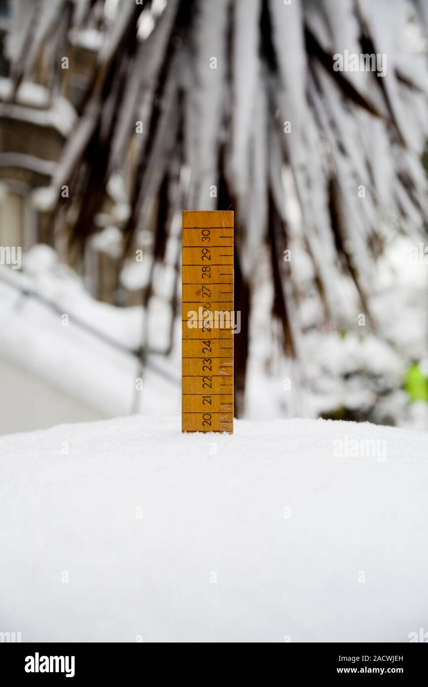 20cm ruler hi-res stock photography and images - Alamy
