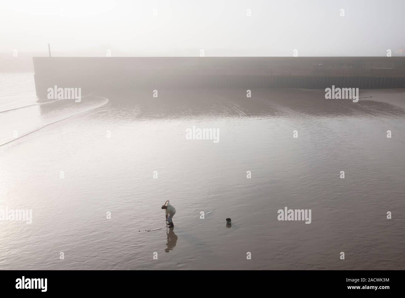 Pier worms hi-res stock photography and images - Alamy