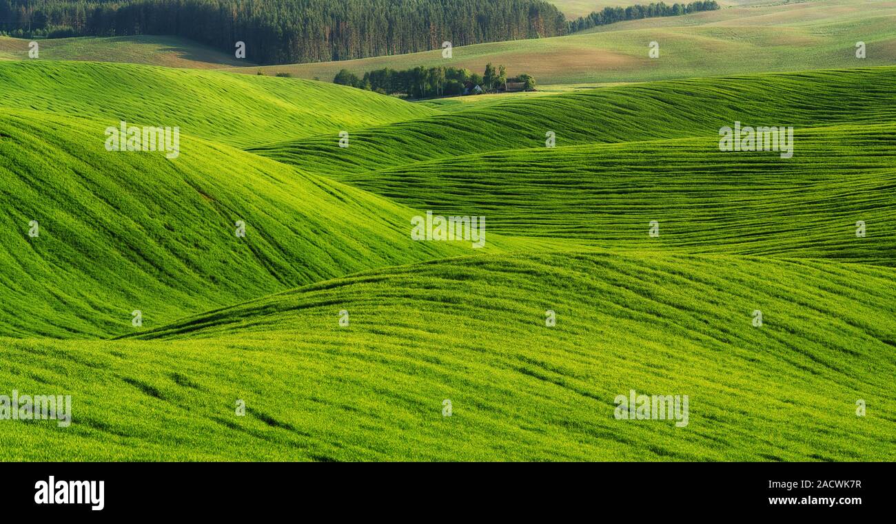 Green landscape cornfield hills hi-res stock photography and images - Alamy