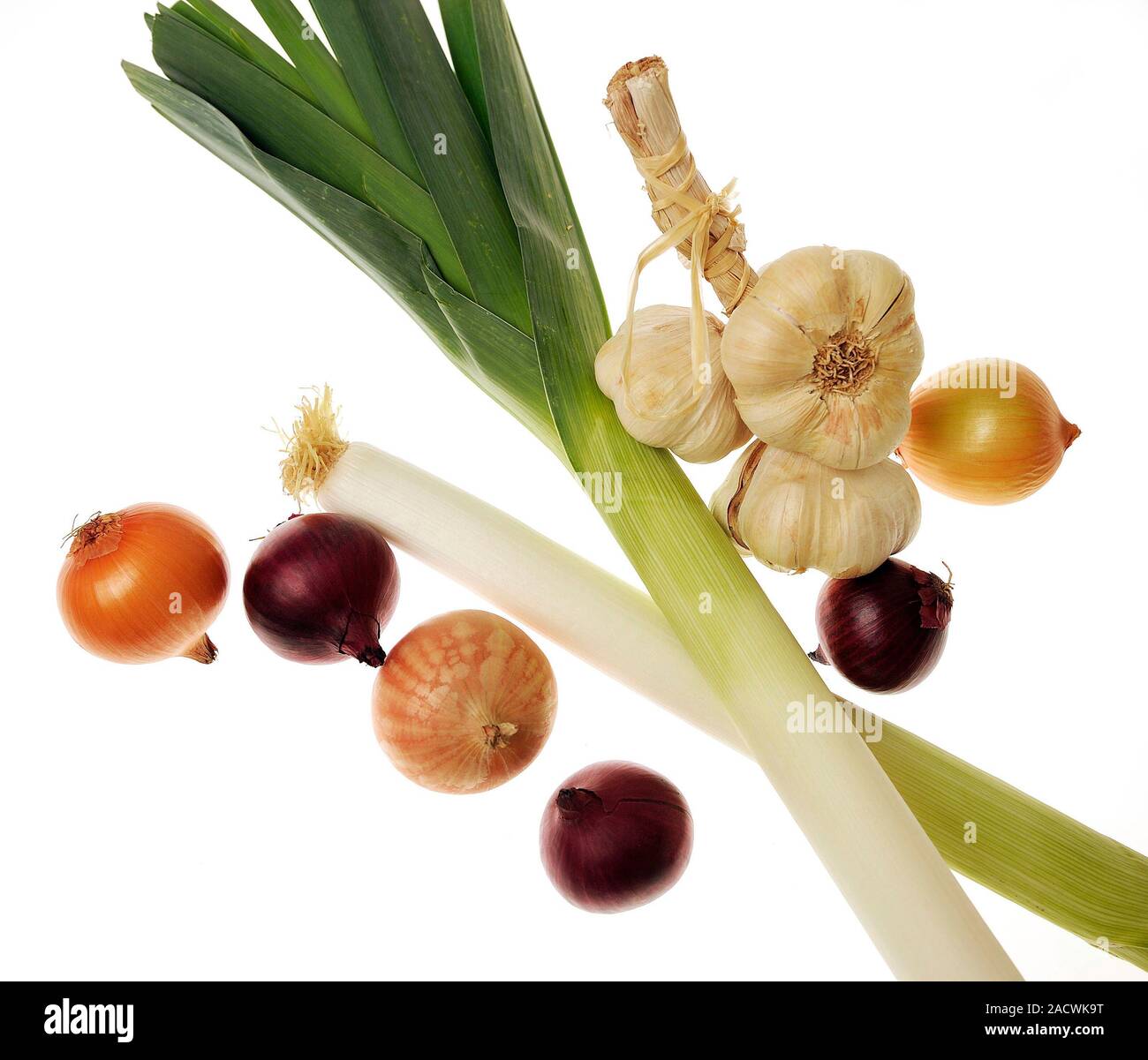 Alliums. Leeks (Allium ampeloprasum), onions (Allium cepa) and garlic ...