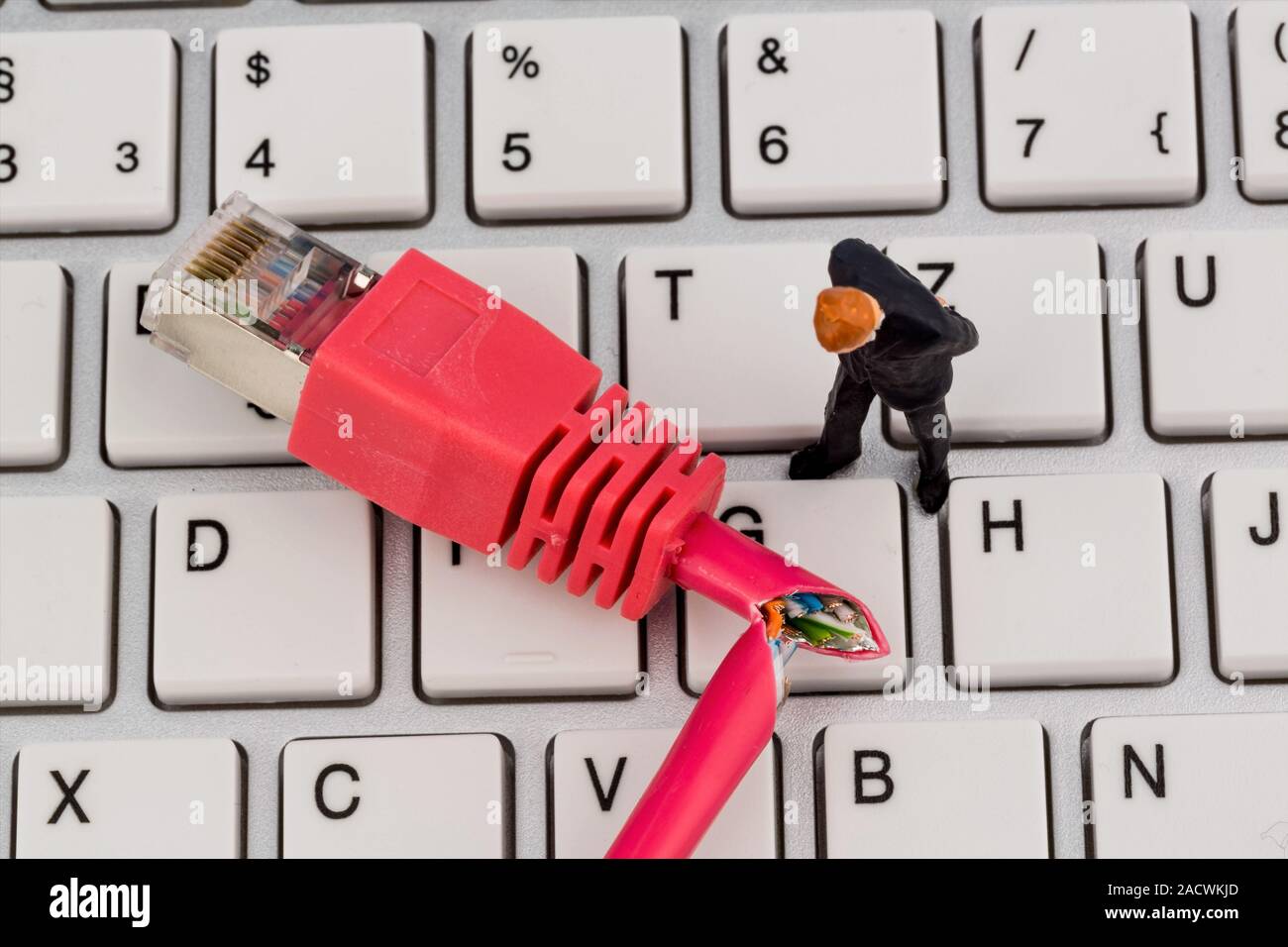 Network worker hi-res stock photography and images - Alamy