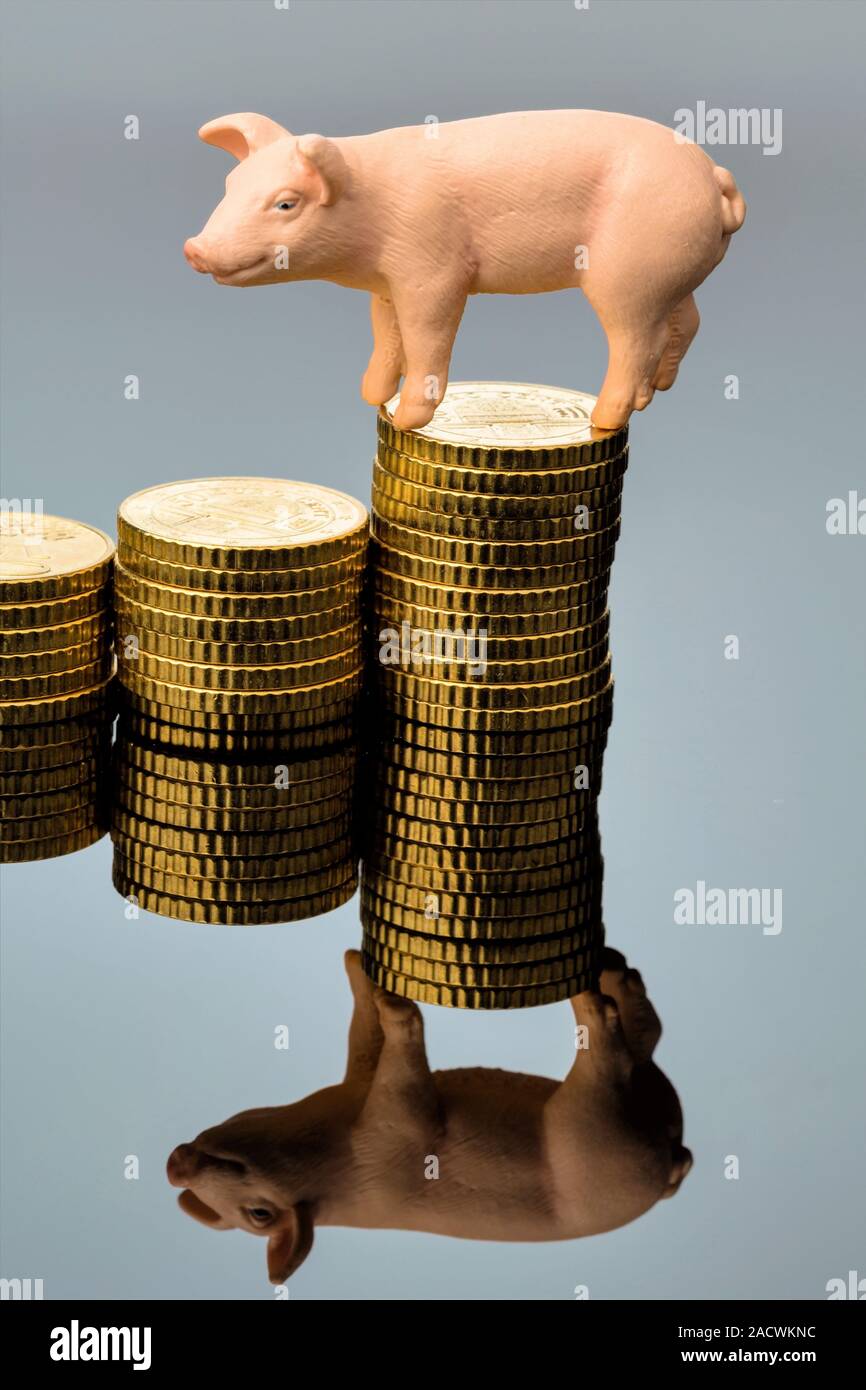 Pork on a stack of coins Stock Photo - Alamy