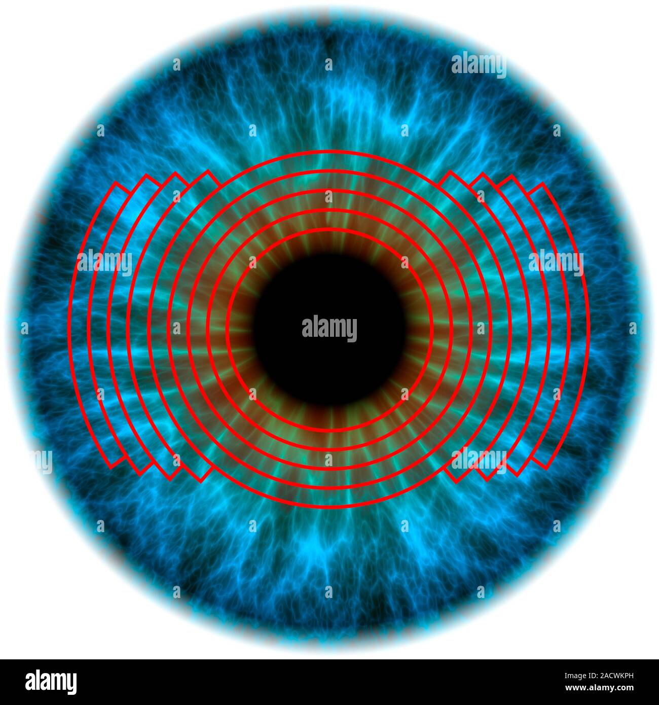 Biometric eye scan. Computer artwork of a human eye being scanned ...