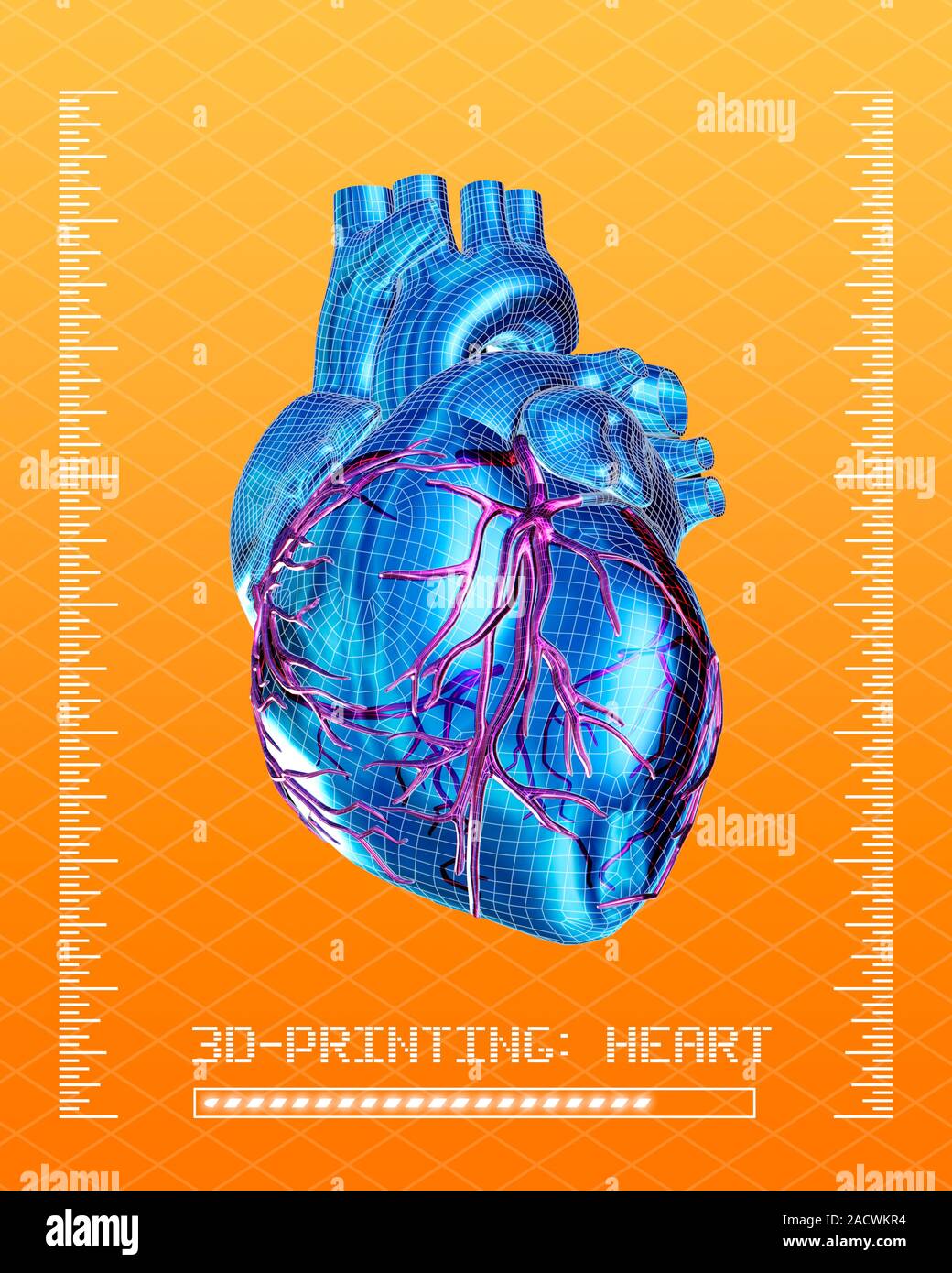 Computer artwork of a human heart printed with 3D printing technolgoy ...