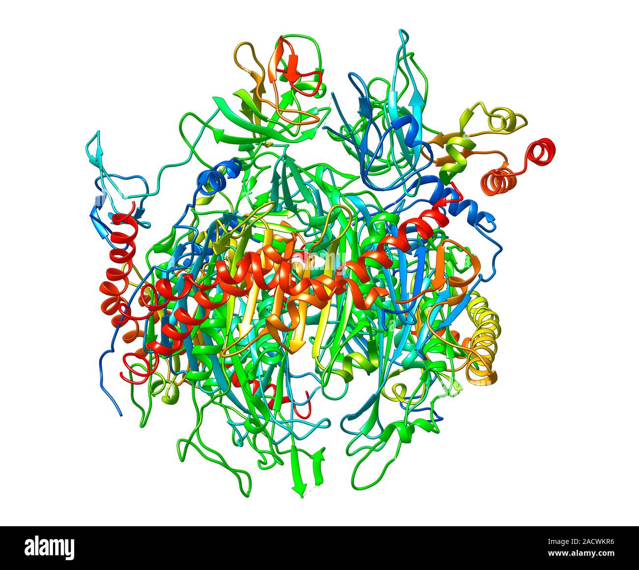 RNA exosome complex, molecular model. This multi-protein complex ...
