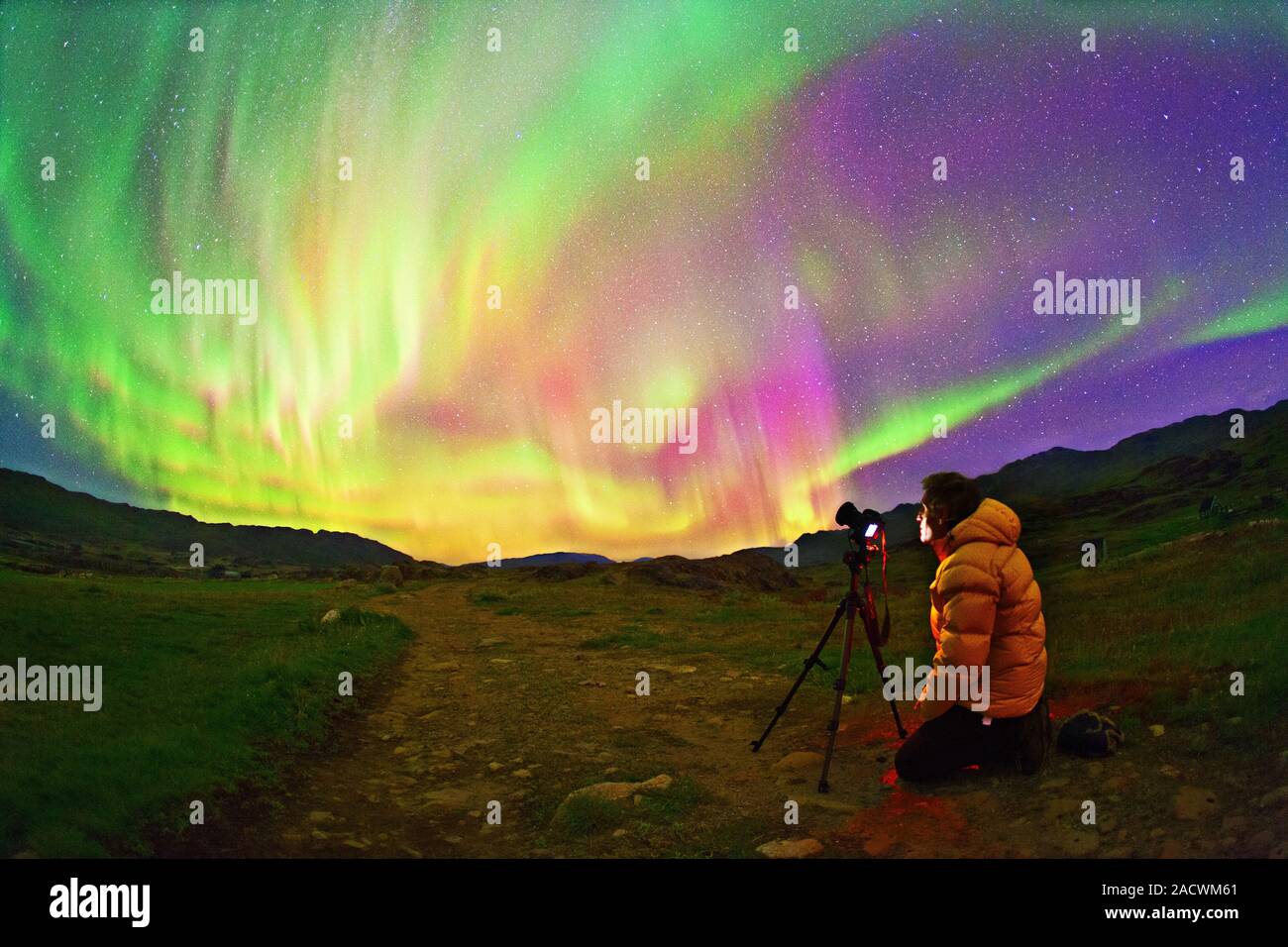 Aurora watching (aurora borealis) in Tasiusaq, Greenland. Person ...