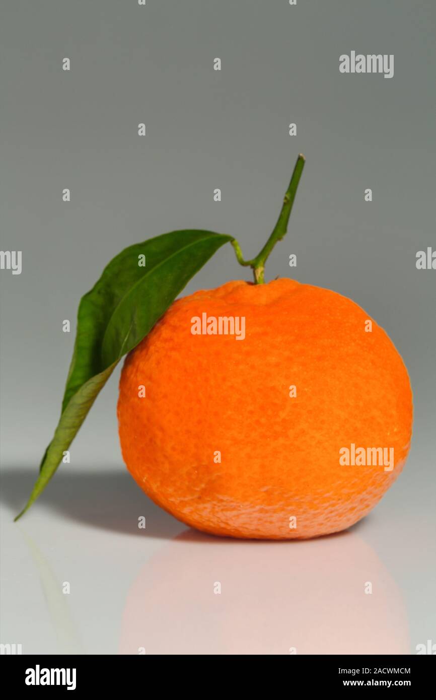 Orange on white background Stock Photo - Alamy