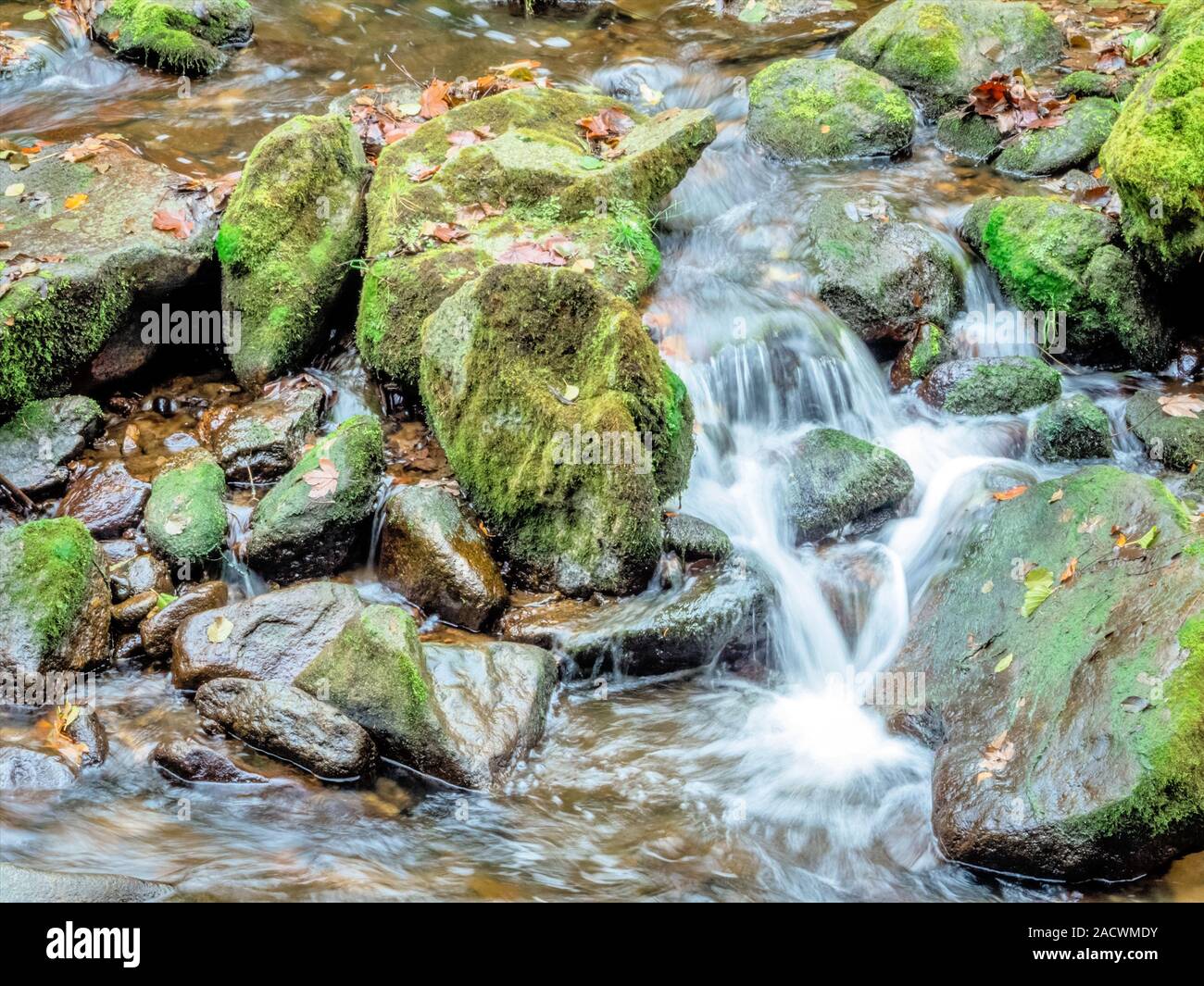 Stream with running water Stock Photo - Alamy