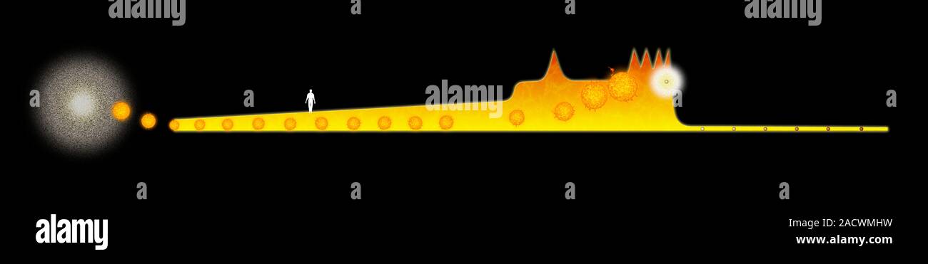 Timeline of the Sun's lifetime, artwork. Our Sun formed approximately 4 ...