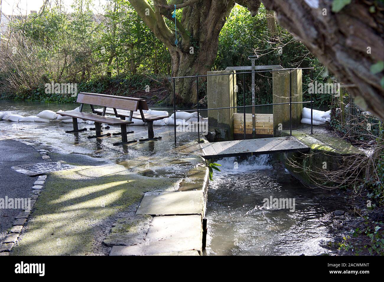 A line of sandbags along the river bank effectively preventing flood ...