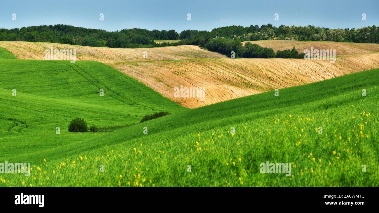 Green landscape cornfield hills hi-res stock photography and images - Alamy