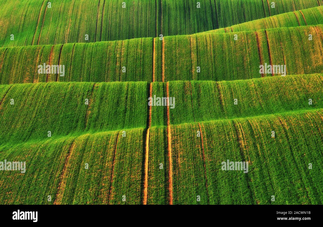 Lea valley farm hi-res stock photography and images - Alamy