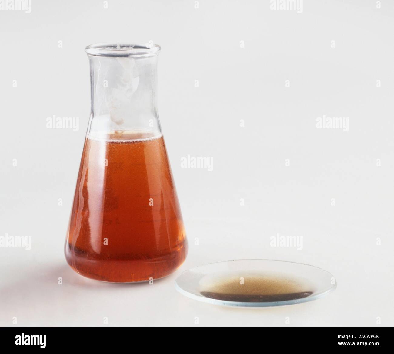 Beaker containing calcium ethanoate, and petri dish containing sample ...