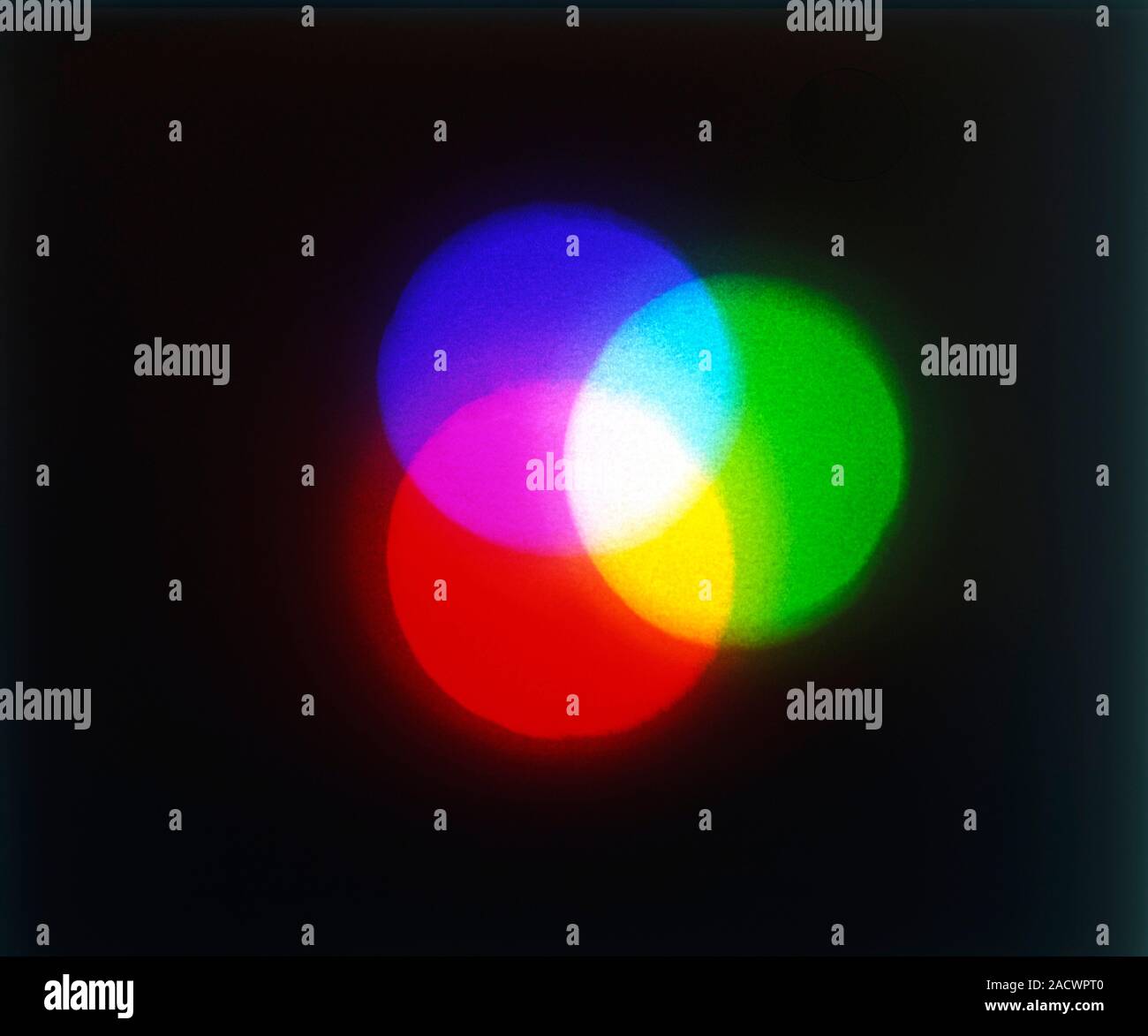 Overlapping circles of primary colours red, green and blue Stock Photo ...