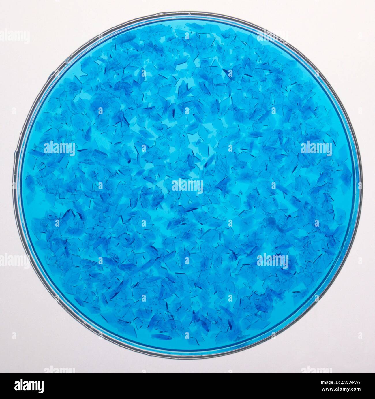 Experiment showing crystal formation, copper (II) sulphate crystals ...