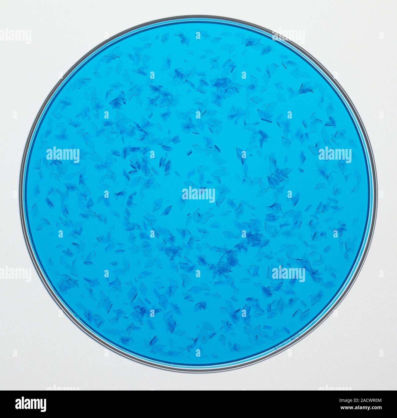 Experiment showing crystal formation, copper (II) sulphate crystals ...