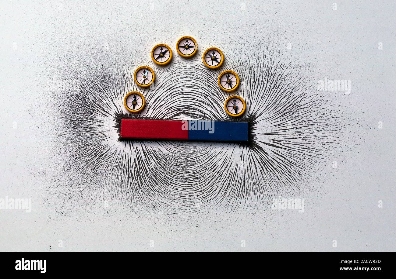 Iron filings and plotting compasses reveal the lines of magnetic force ...