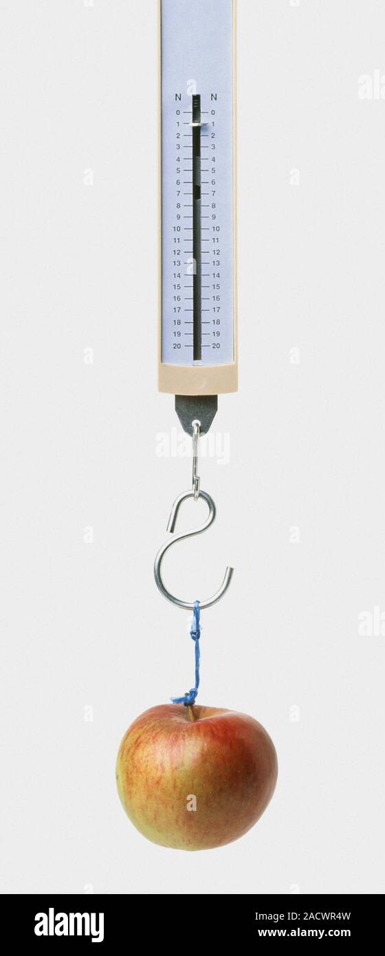 Apple hanging from a Newton Meter, measuring force Stock Photo - Alamy