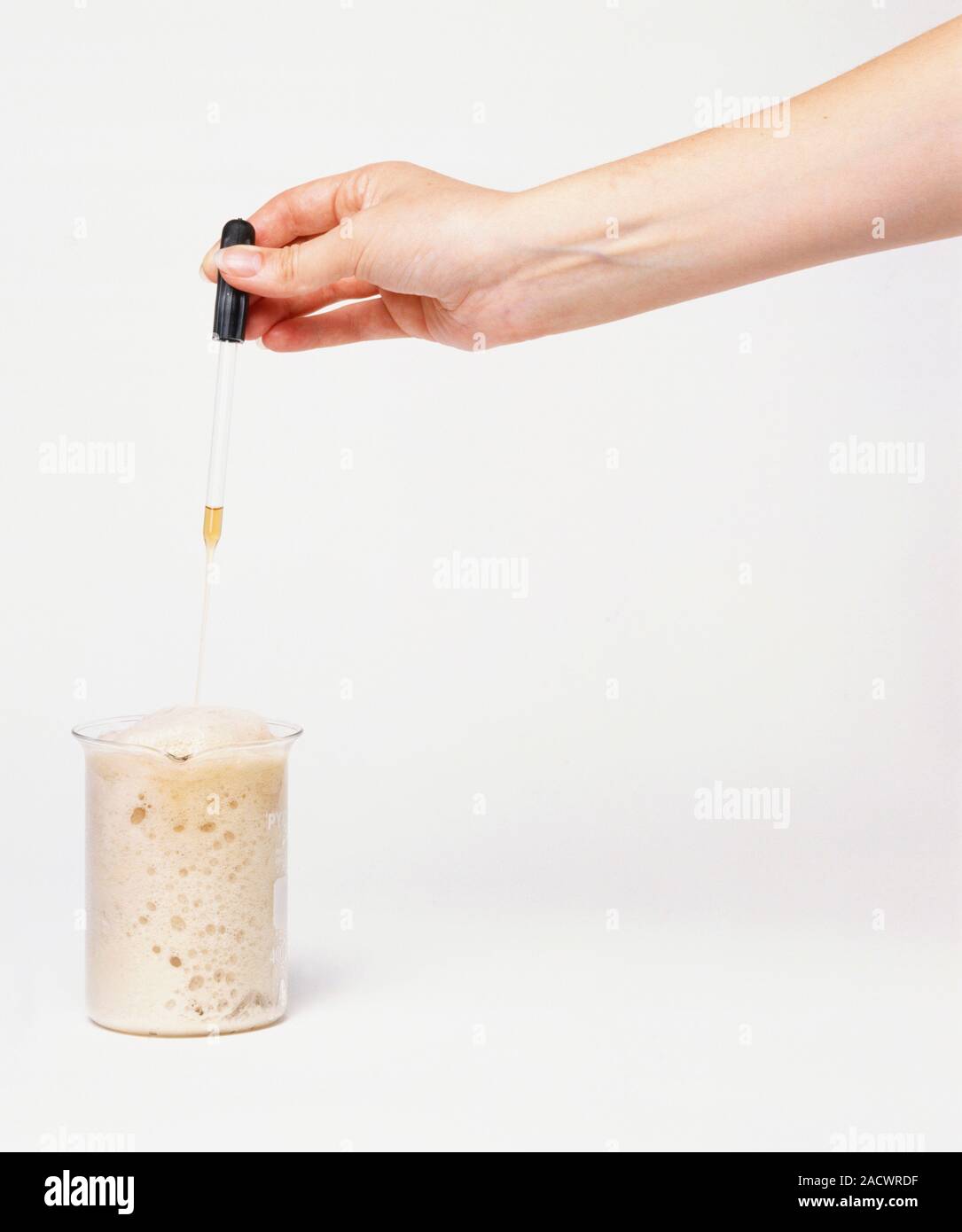 Hand dropping acid on sodium hydrogen carbonate causing it to fizz and ...