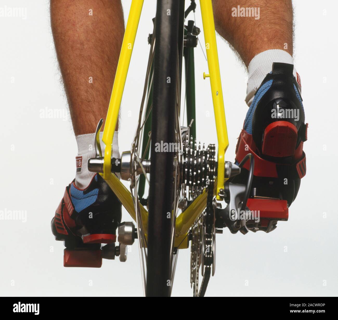 Cyclists feet on pedals, close up, view from behind Stock Photo - Alamy