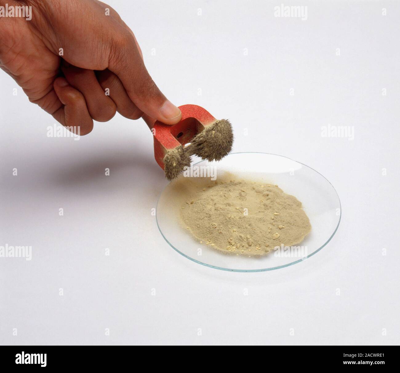 Removing iron filings from sulphur mixture with magnet, close-up Stock ...