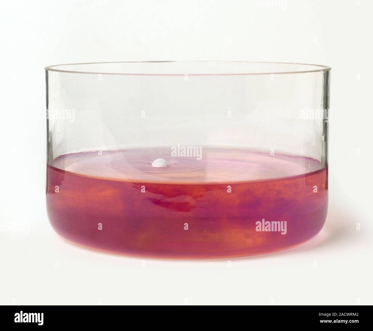 Sodium metal in glass bowl of red Litmus water producing sodium ...